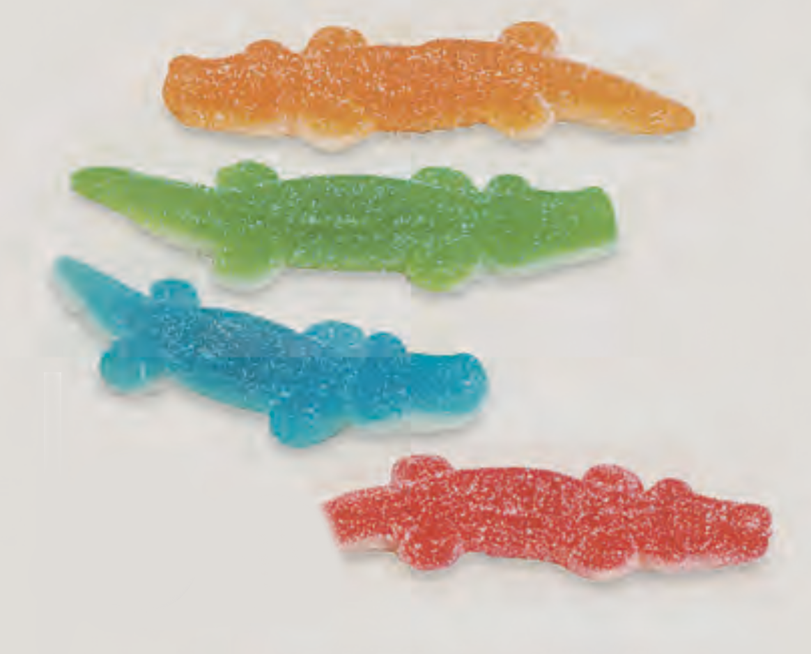 Assorted Sanded Gummi Crocodiles - 5lb | CandyStore.com
