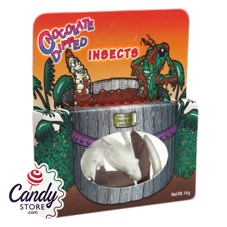 Chocolate Dipped Insects Hotlix - 24ct | CandyStore.com