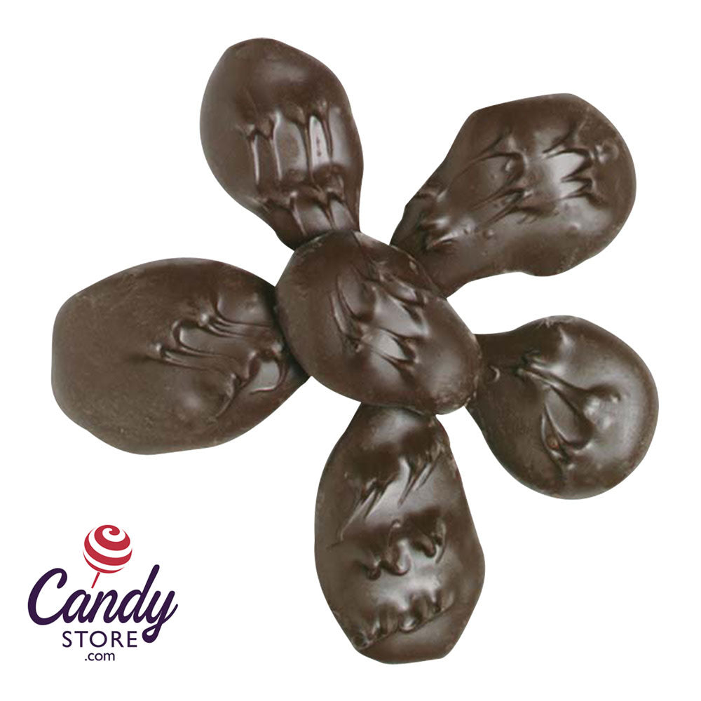 Dark Chocolate Covered Ginger 6lb - CandyStore.com