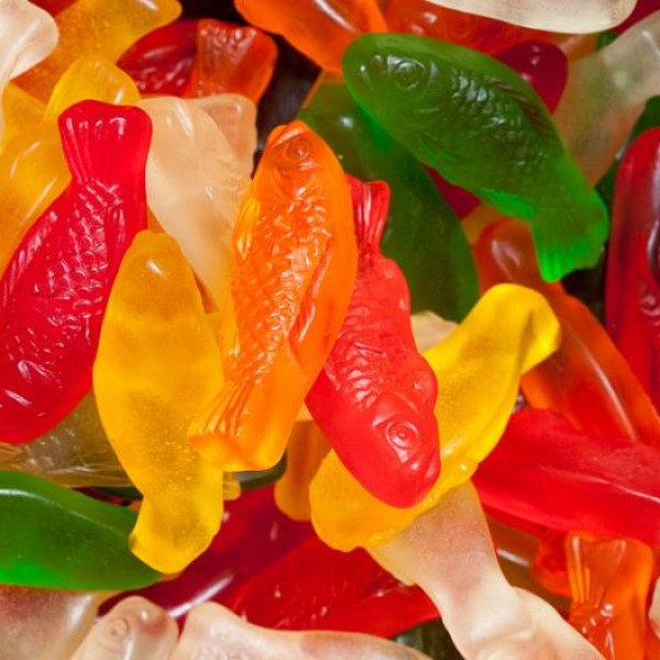 Gummy Fish Assorted Colors - 5lb Bulk | CandyStore.com