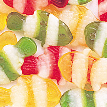 Haribo Gummi Clown Fish - 5lb Bulk | CandyStore.com