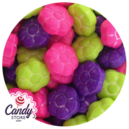 Hootencandy Owl Tins Candy - 12ct | CandyStore.com