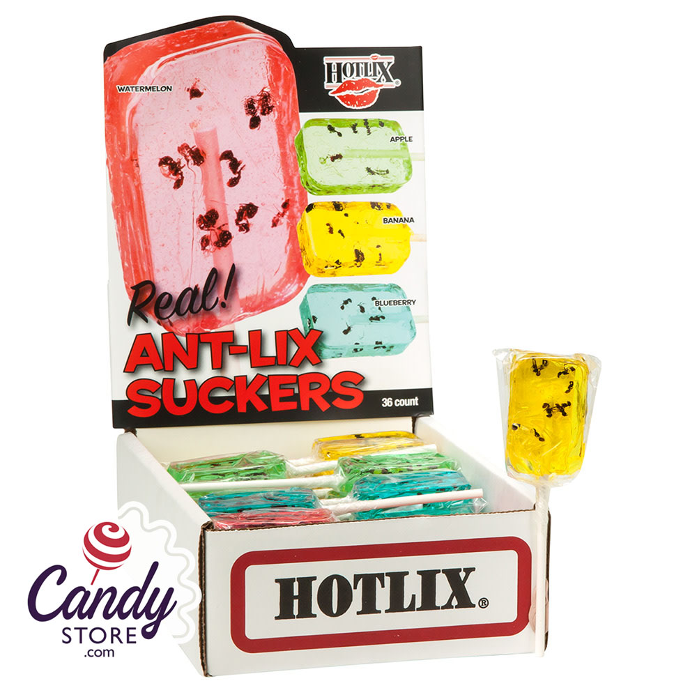 Hotlix Ant Lix Suckers 1oz Lollipop - 36ct | CandyStore.com