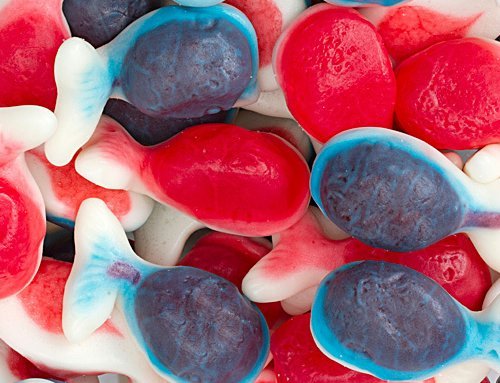 Jelly-Filled Gummy Whales - 2.2lb | CandyStore.com