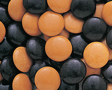 Mocha Chocolate Lentils - 5lb Bulk | CandyStore.com