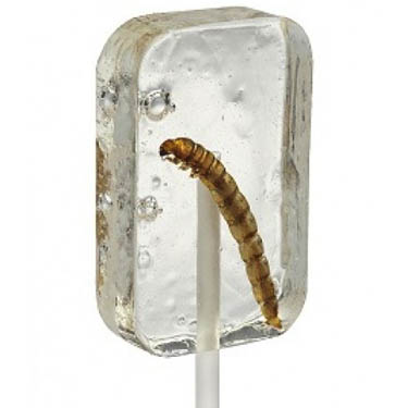 Tequila Worm Pops - 36ct | CandyStore.com