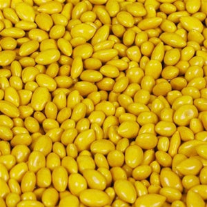 Yellow Sunflower Seeds Candy - 5lb Bulk | CandyStore.com