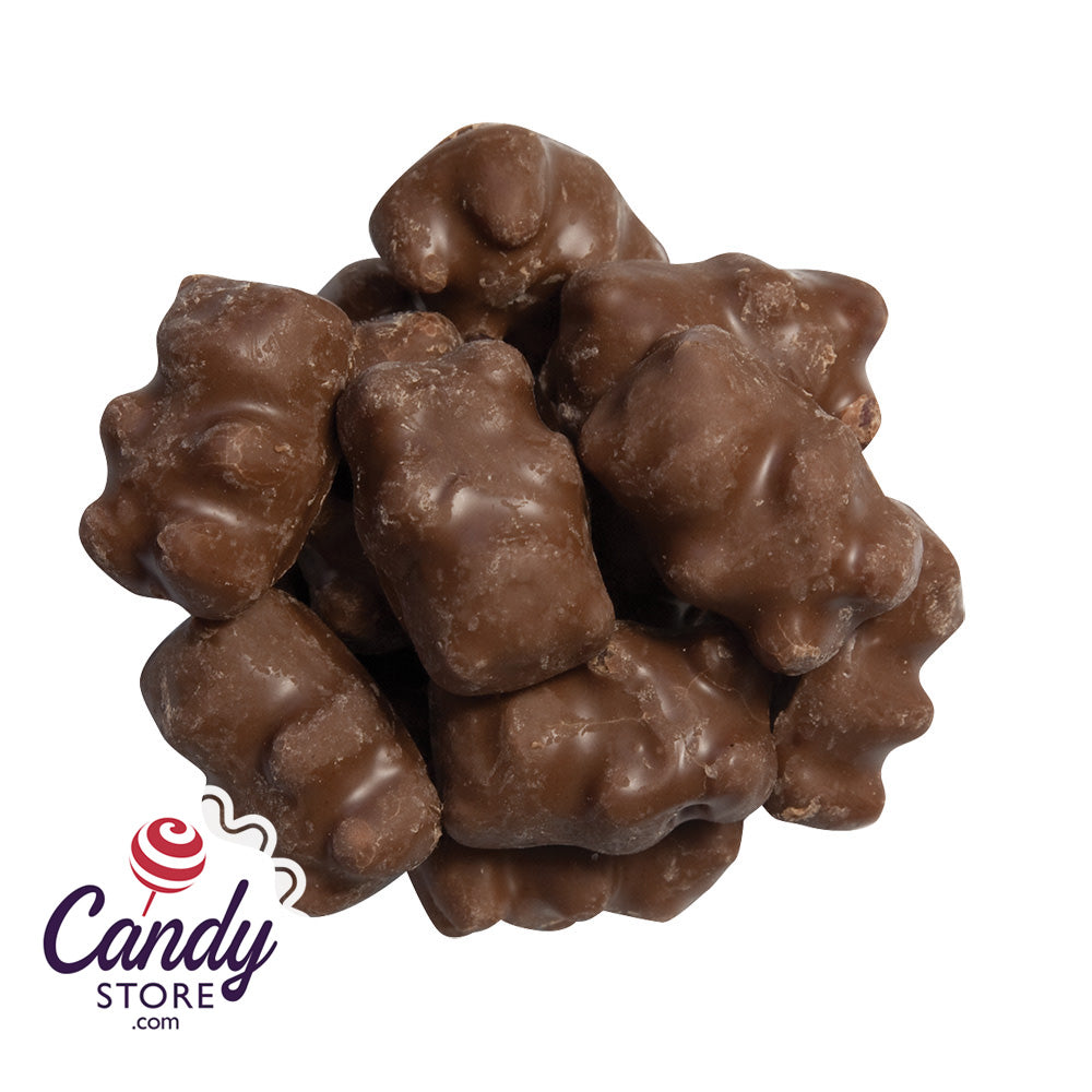 Cinnamon Chocolate-Covered Gummy Bears - 13.5lb – CandyStore.com