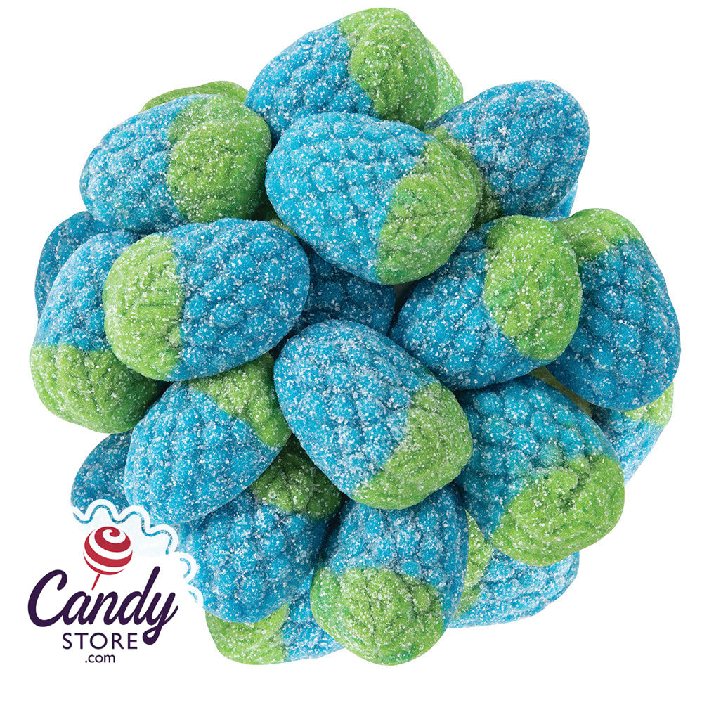 Sour Wild Raspberries Gummies 2.2lb - CandyStore.com